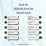 Why These Top 10 ServiceNow Modules Are Essential for Your Business ...